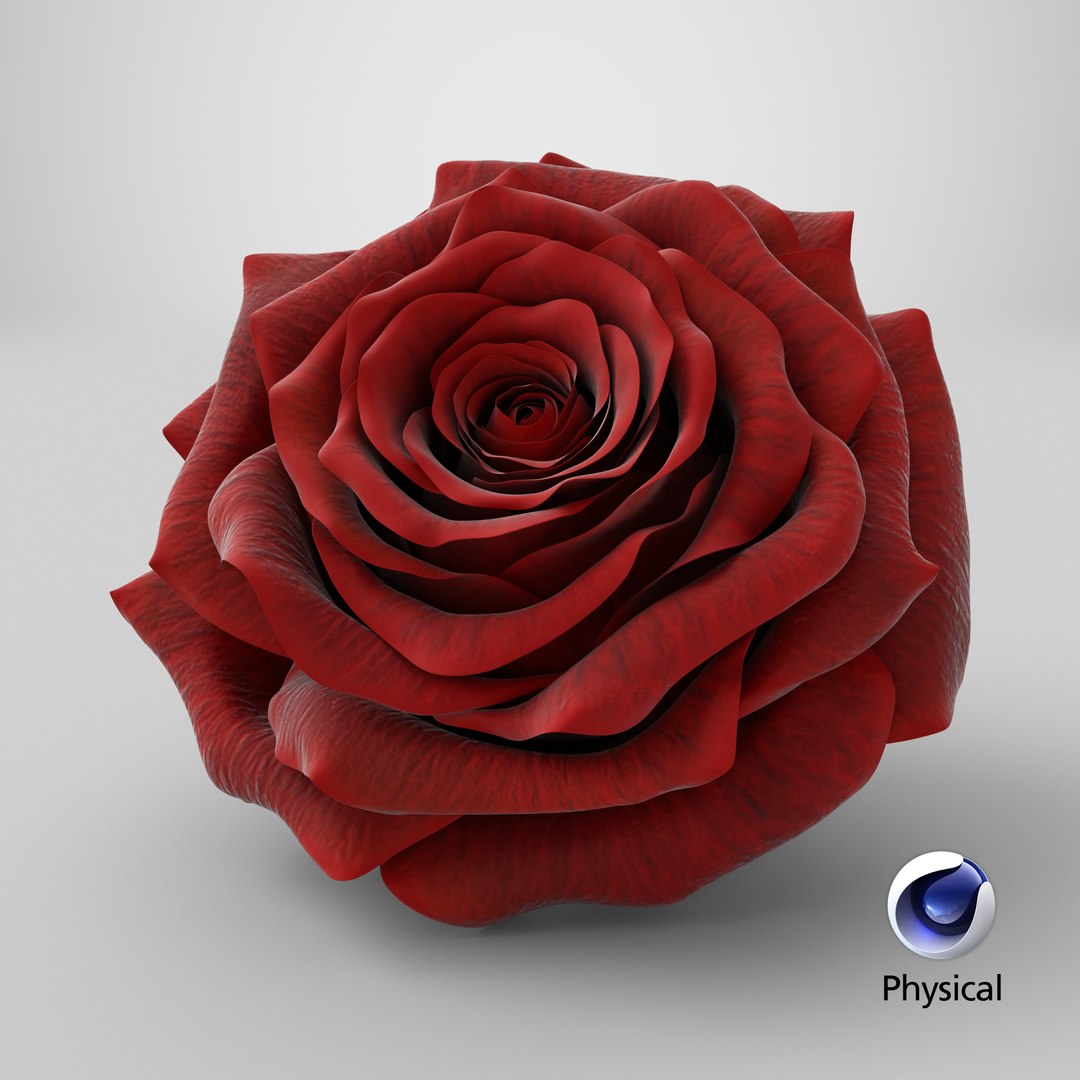 Realistic Rose 3D Model - High-Quality 4K PBR Asset 3D Model ...
