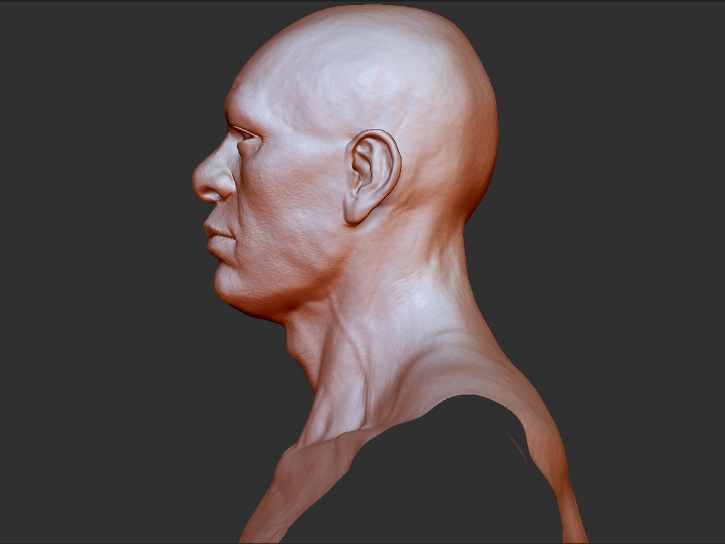Head Faces 3d Obj