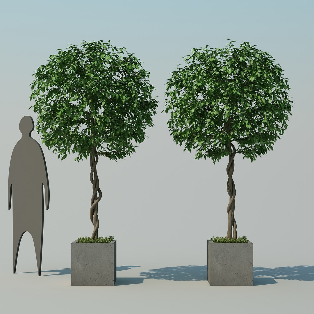 2 Plant Tree Fbx