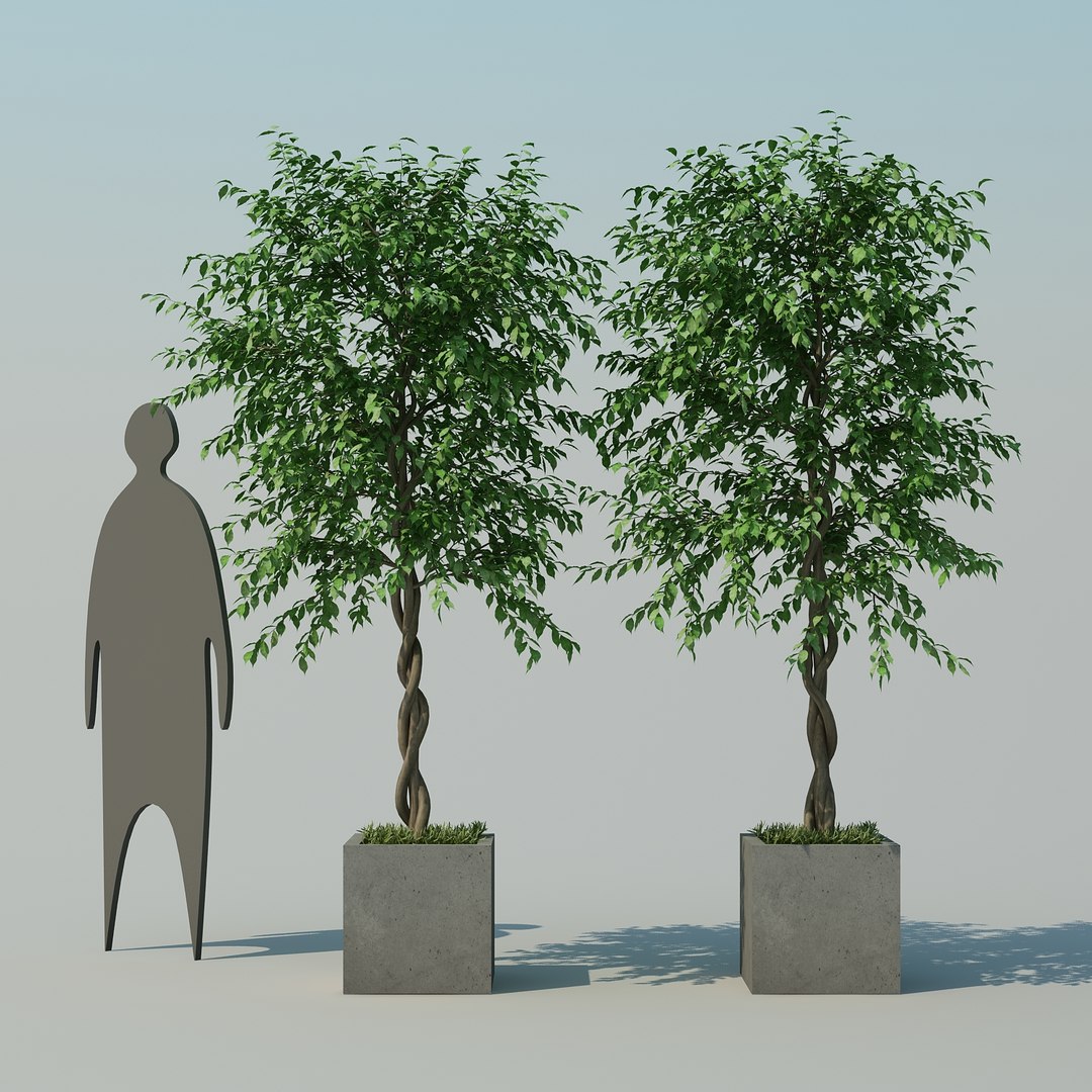 2 Plant Tree Fbx