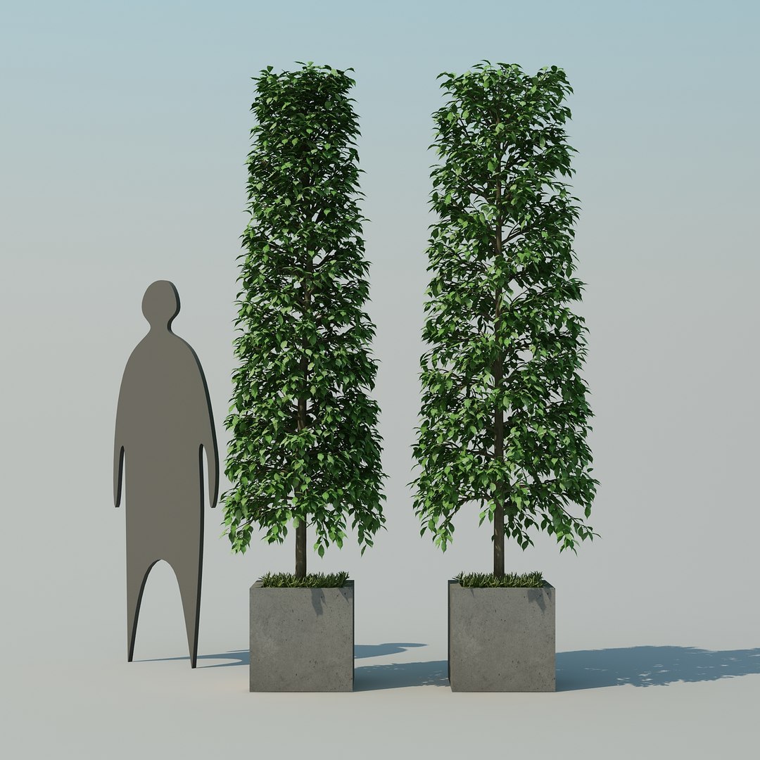 2 Plant Tree Fbx