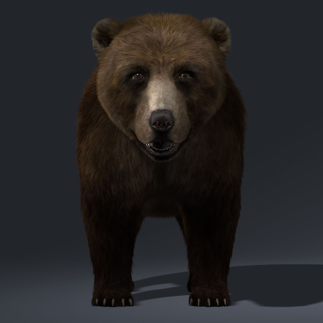 obj bears fur