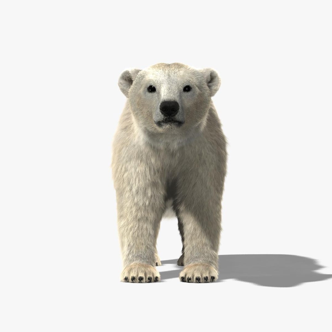 obj bears fur