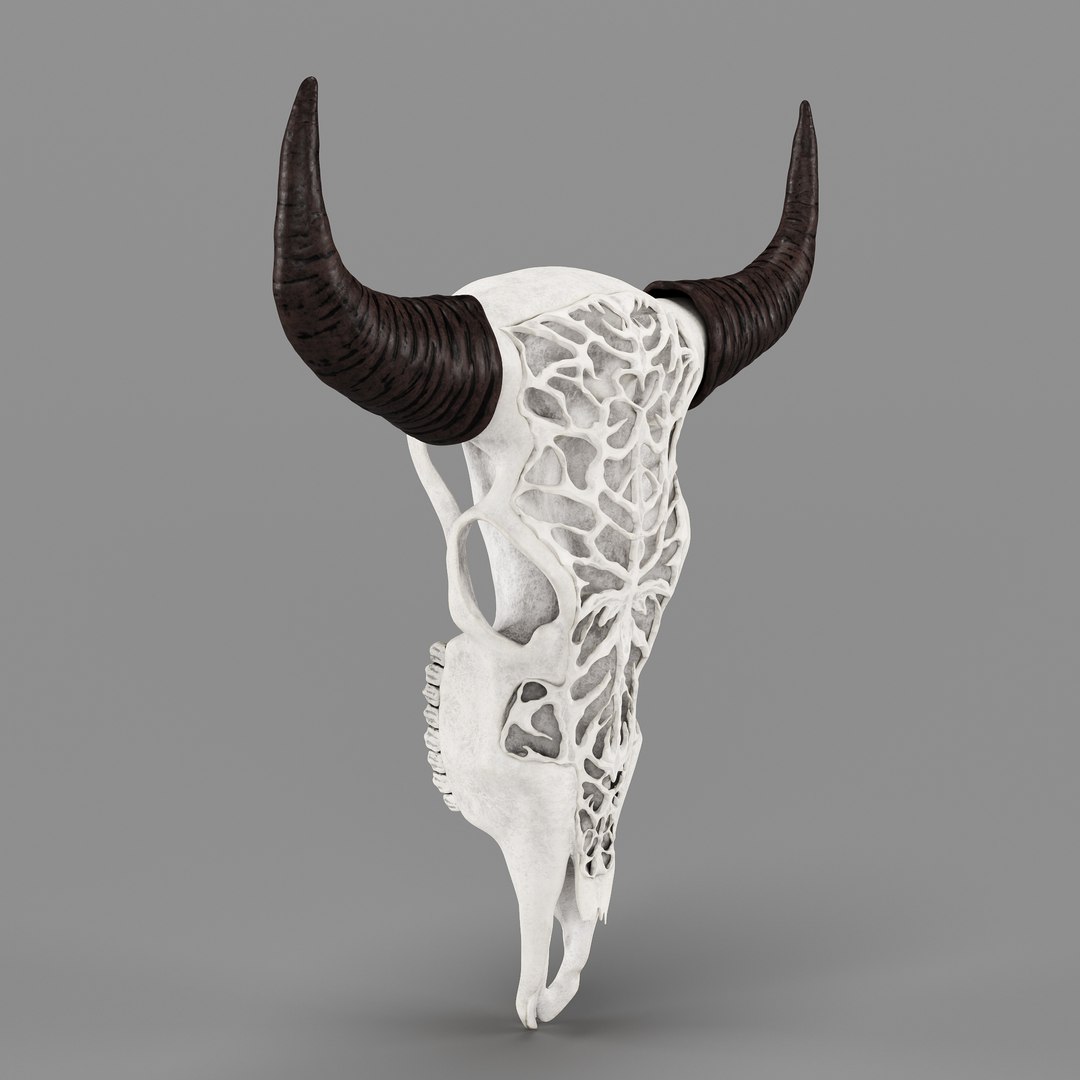 Bull Skull 3D - TurboSquid 1581787