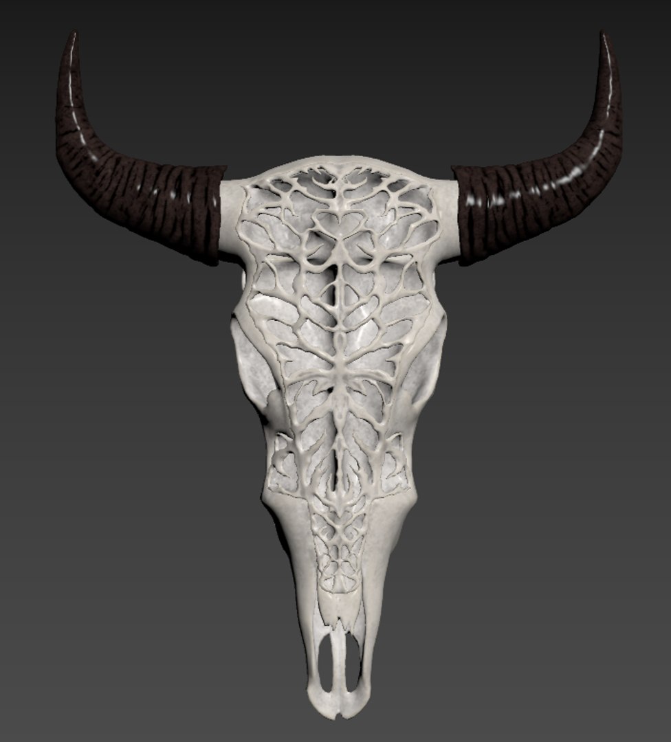 Bull Skull 3D - TurboSquid 1581787