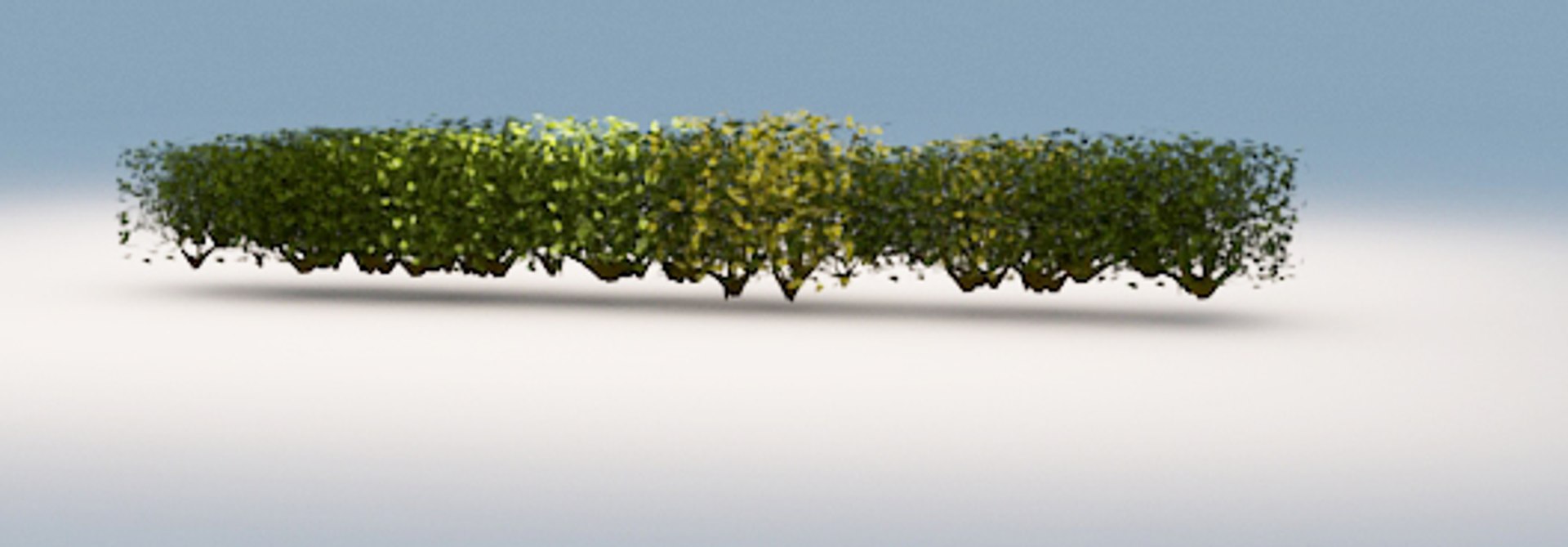 3d Hedge Model