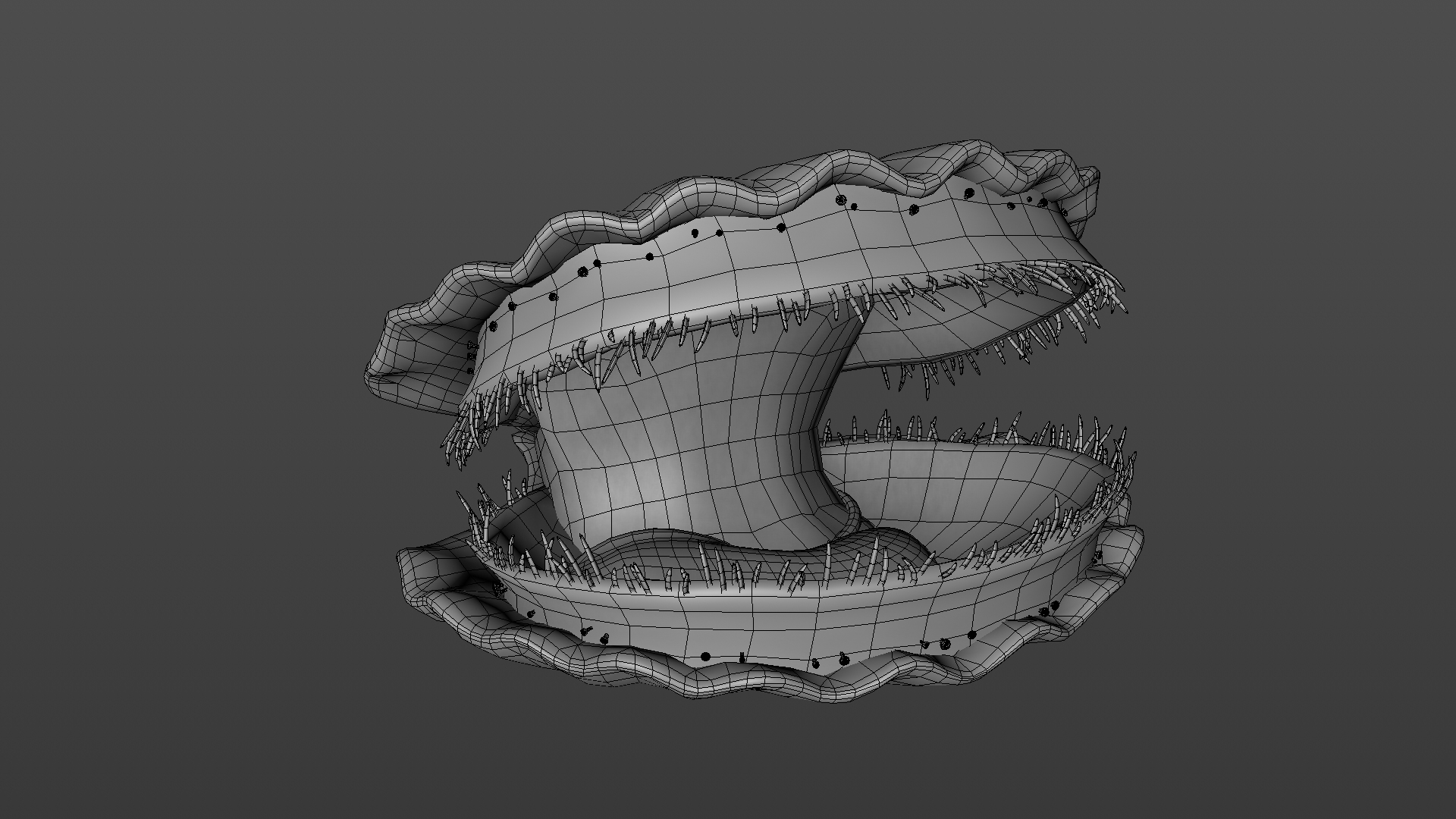 Scallop 3D - TurboSquid 1707699