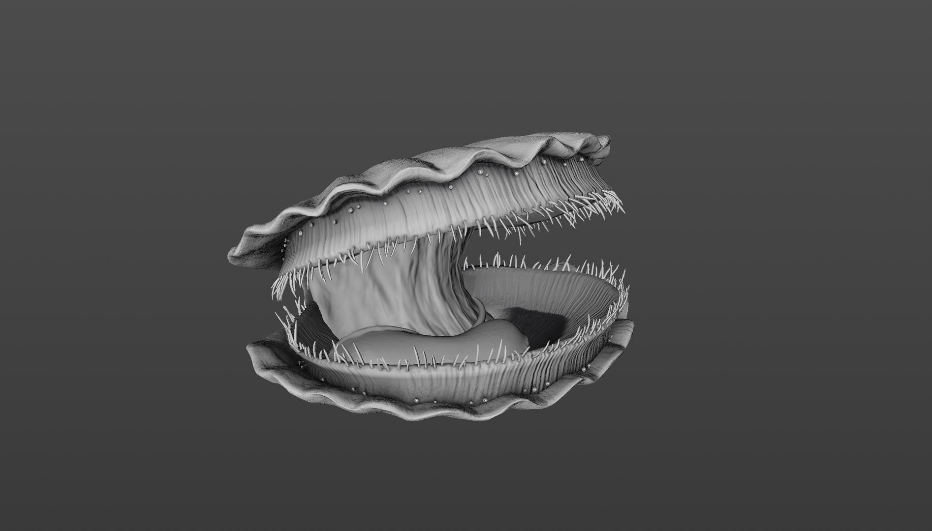 Scallop 3D - TurboSquid 1707699