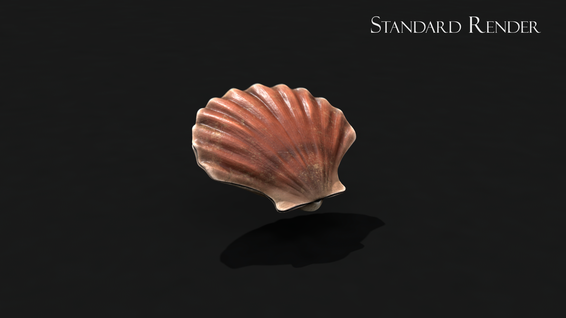 Scallop 3D - TurboSquid 1707699