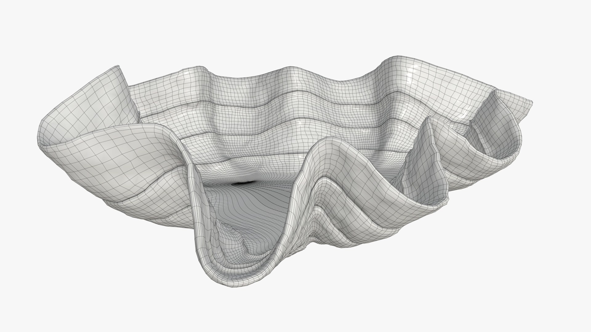 Bowl Clam Shell 3D Model - TurboSquid 1462603