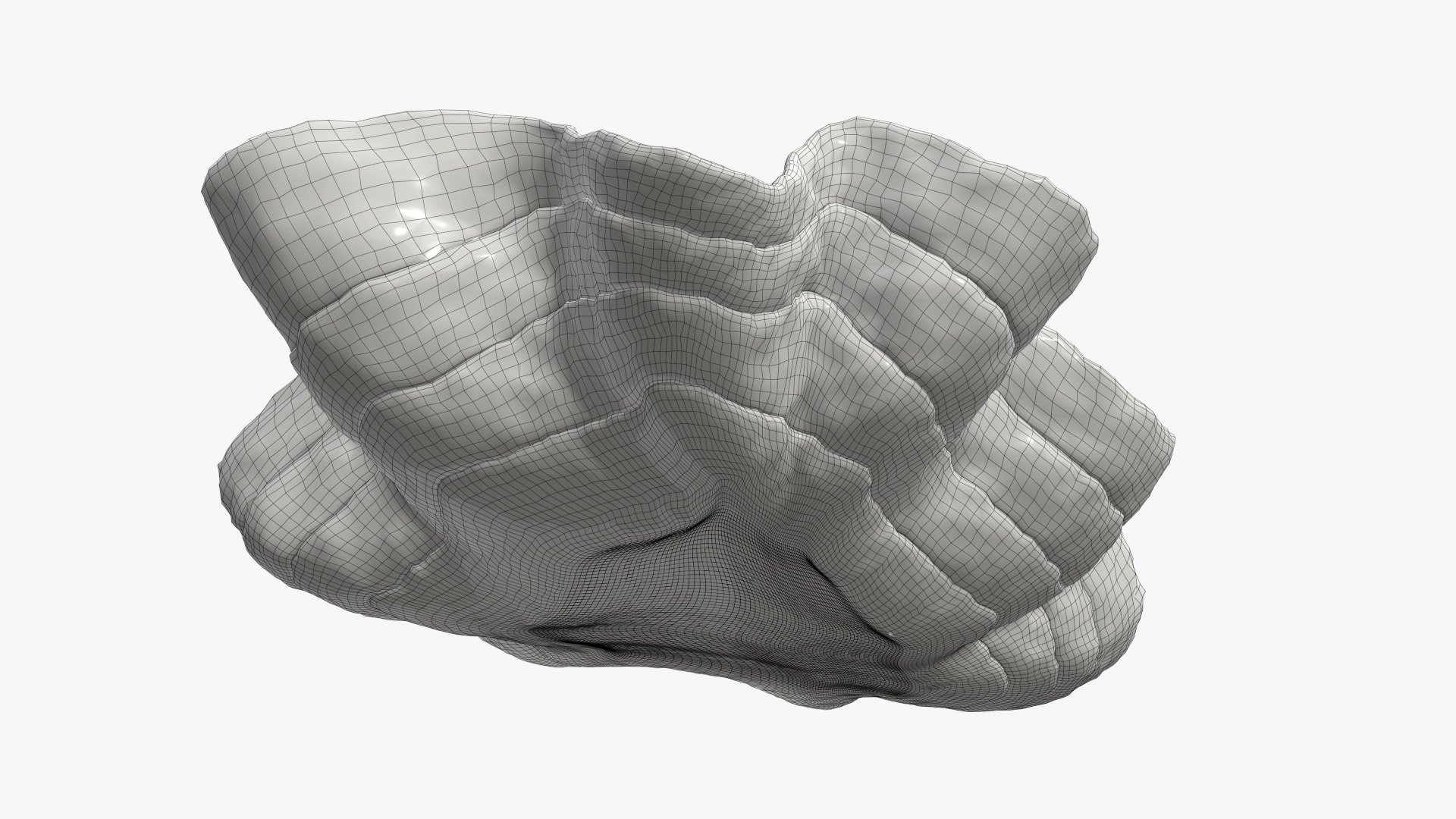 Bowl Clam Shell 3D Model - TurboSquid 1462603