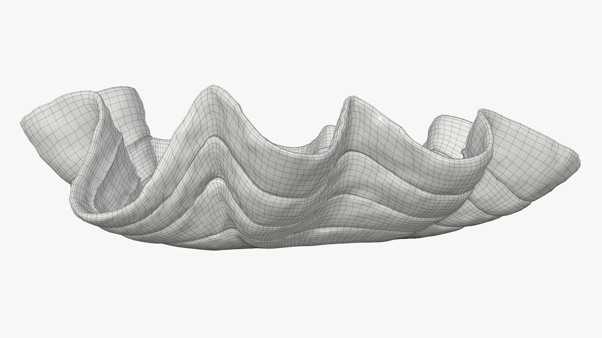 Bowl Clam Shell 3D Model - TurboSquid 1462603