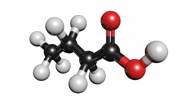 3D c4h8o2 butyric acid model - TurboSquid 1423470