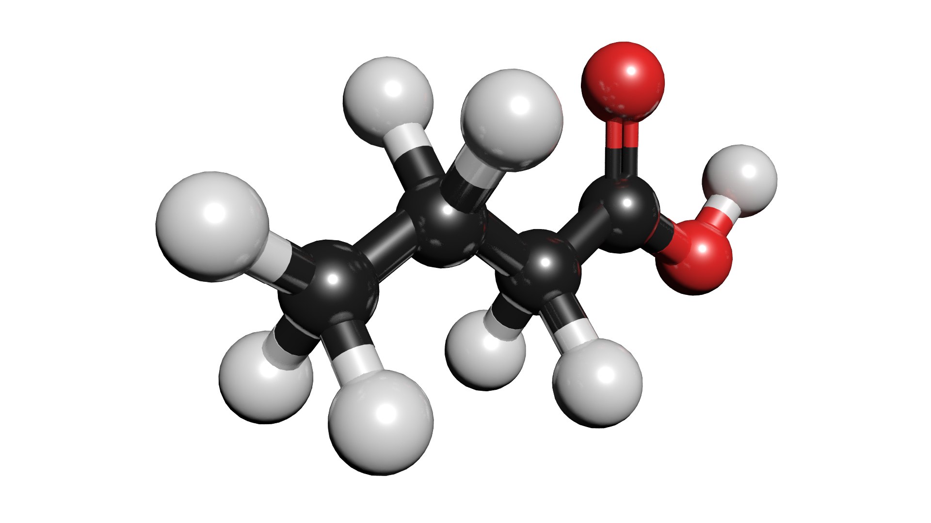 3D C4h8o2 Butyric Acid Model - TurboSquid 1423470
