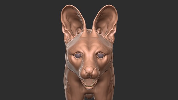 3D Serval Cat Primary Forms Zbrush Sculpt - TurboSquid 1818827