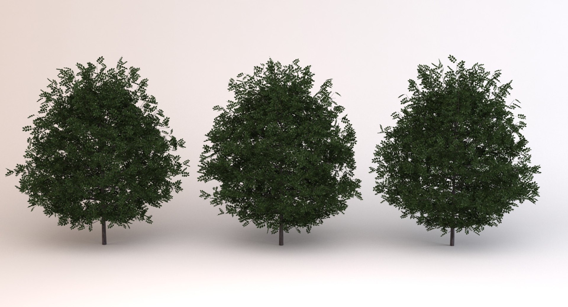 3D Model Buxus Bush - TurboSquid 1378872