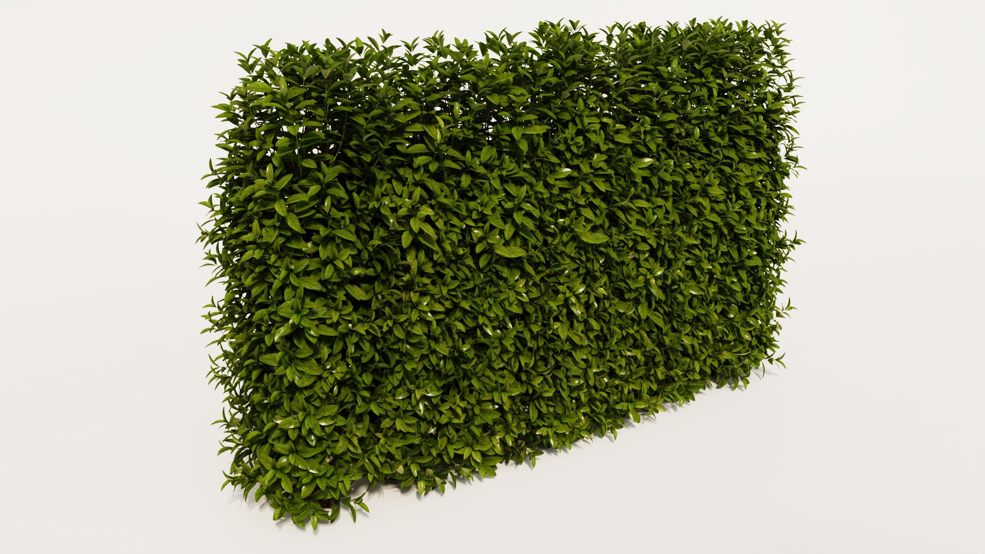 3D Hedge - TurboSquid 2116388