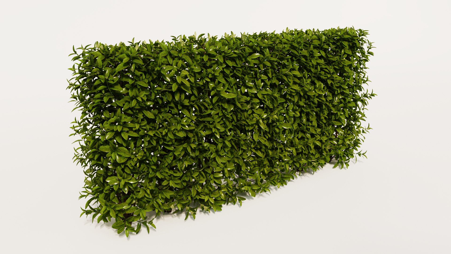 3D Hedge - TurboSquid 2116388