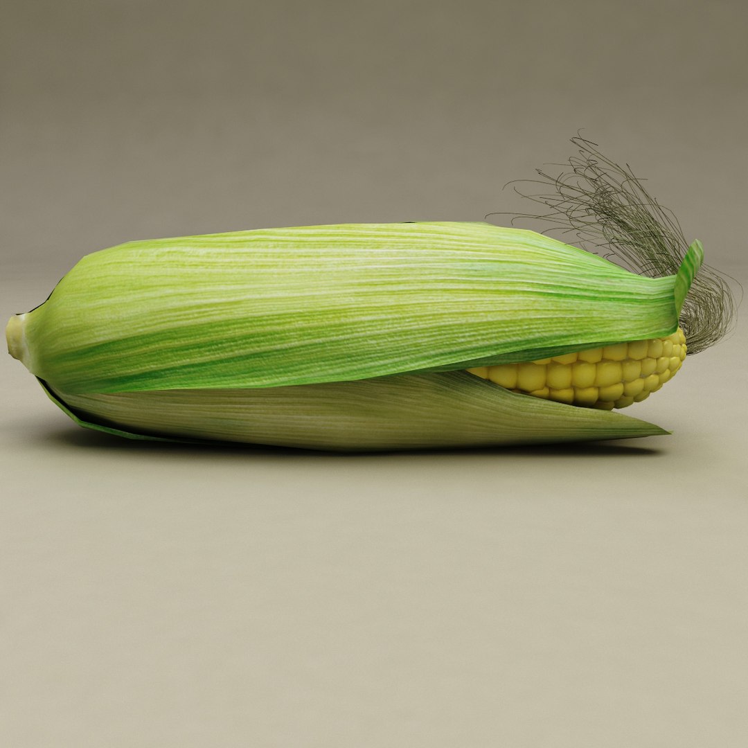 3d model corn set modelled