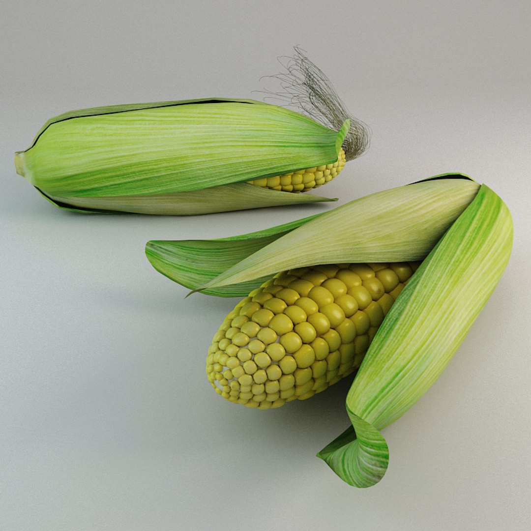 3d model corn set modelled