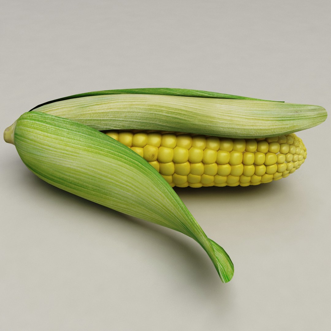 3d model corn set modelled