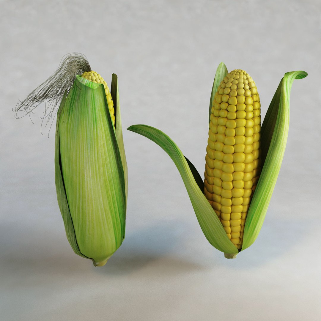 3d model corn set modelled