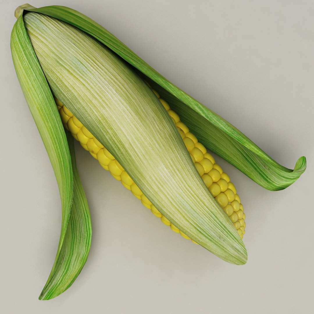 3d model corn set modelled