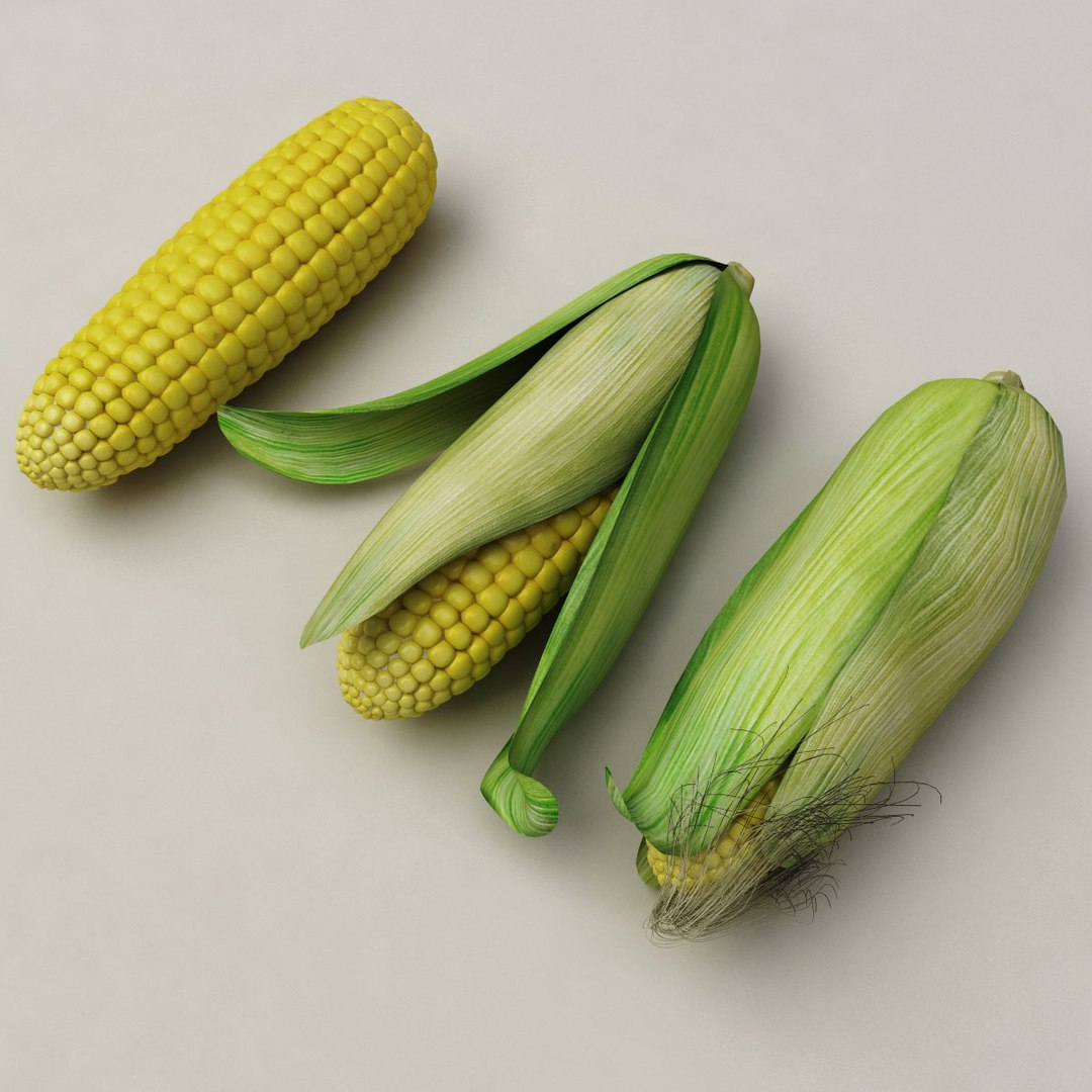 3d model corn set modelled