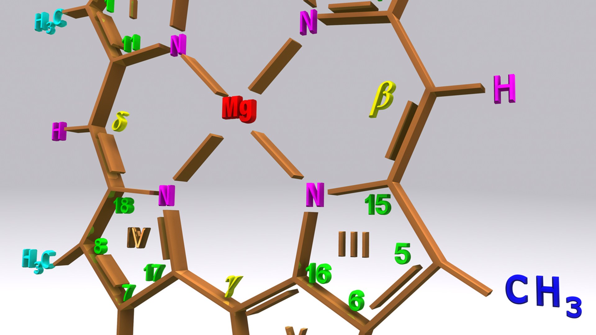 Chlorophyll C Structure 3d Obj