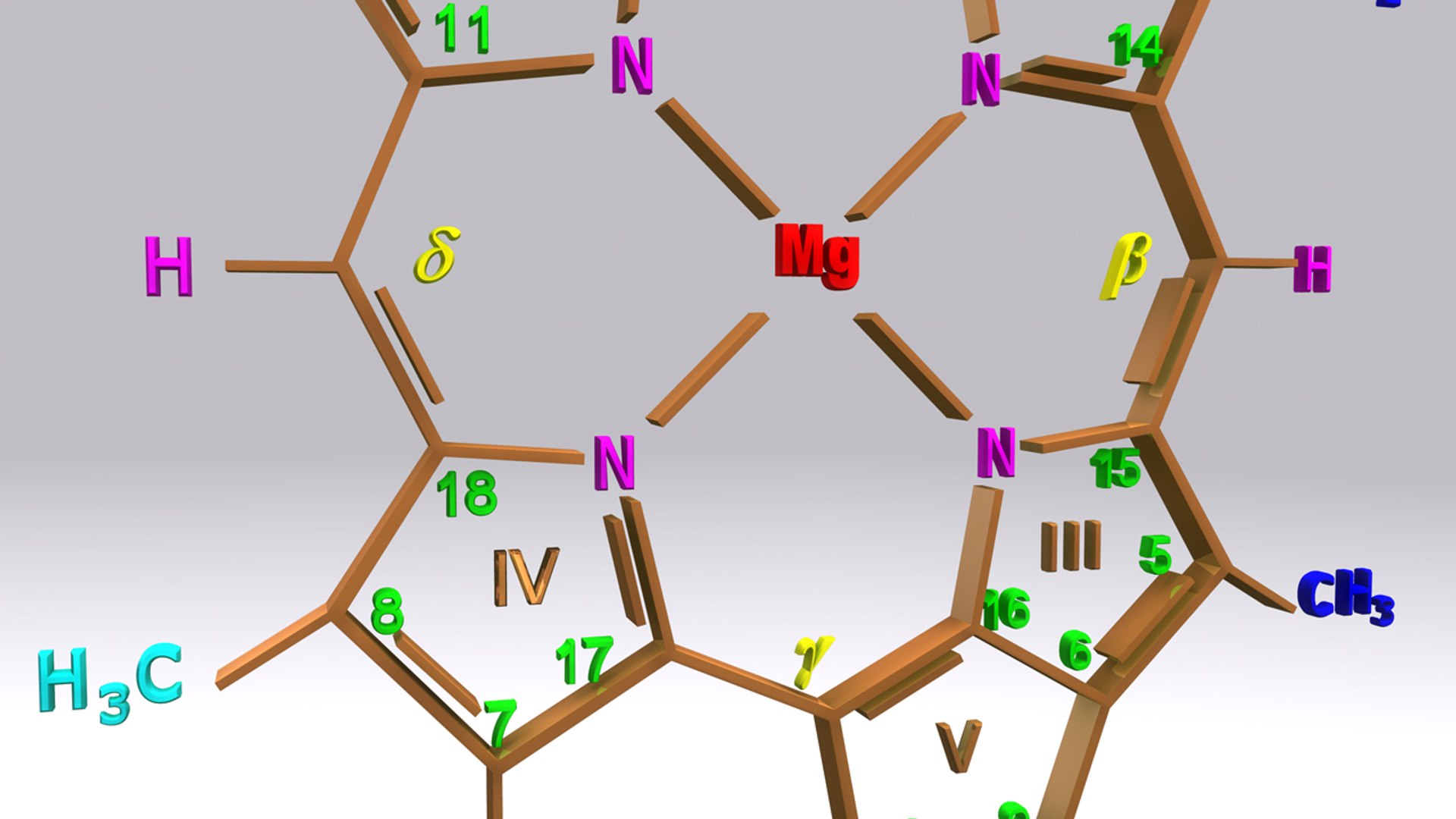 Chlorophyll C Structure 3d Obj