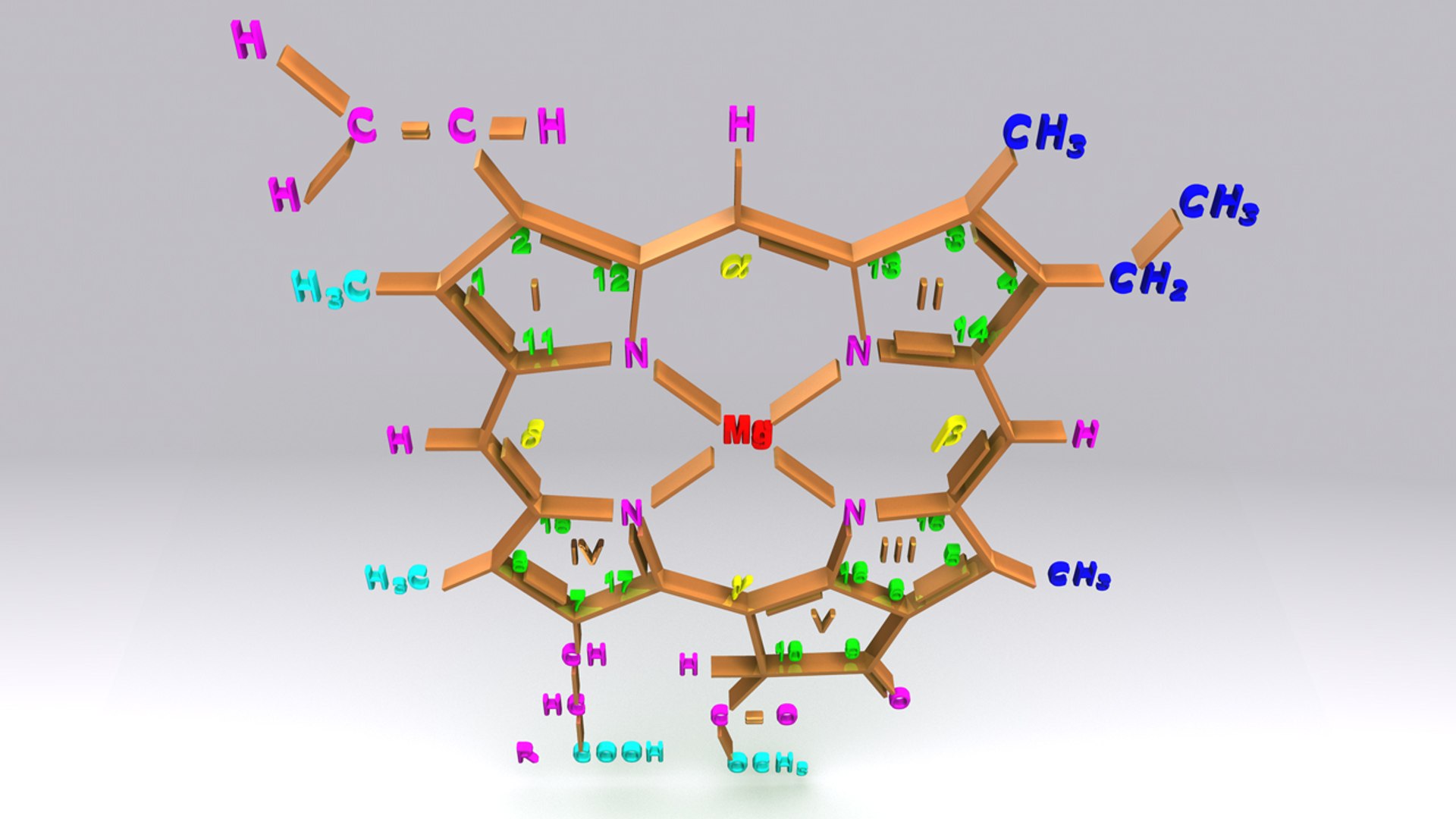 Chlorophyll C Structure 3d Obj