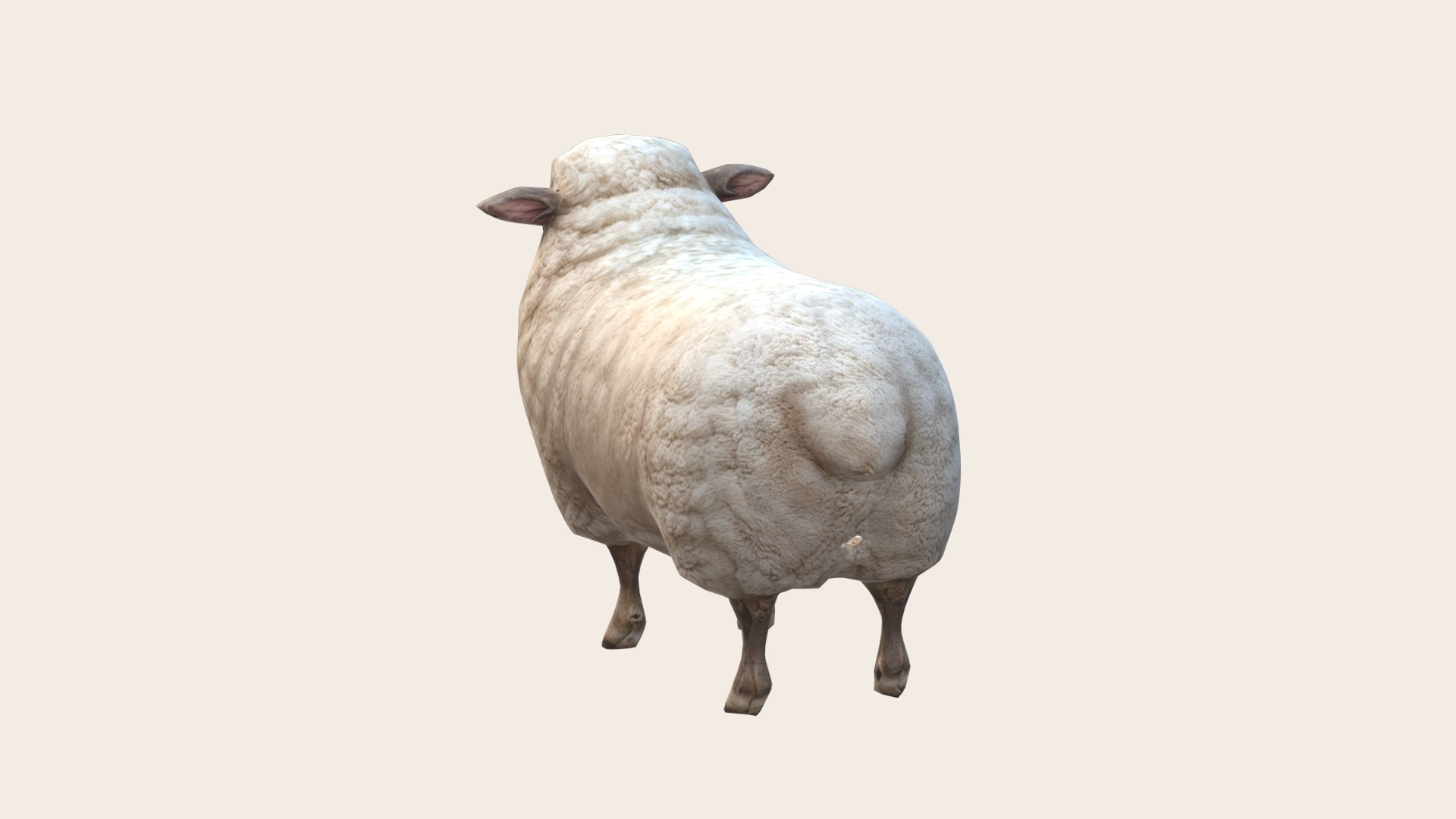 Sheep Model - TurboSquid 2223527