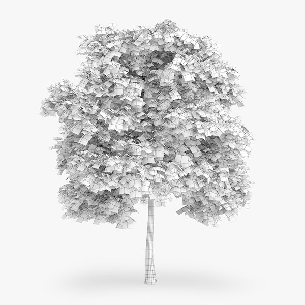 english oak trees 3d model
