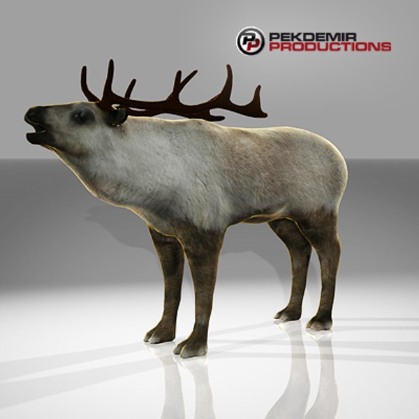 christmas giftbox reindeer 3d 3ds