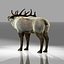 Reindeer Deer 3d Model