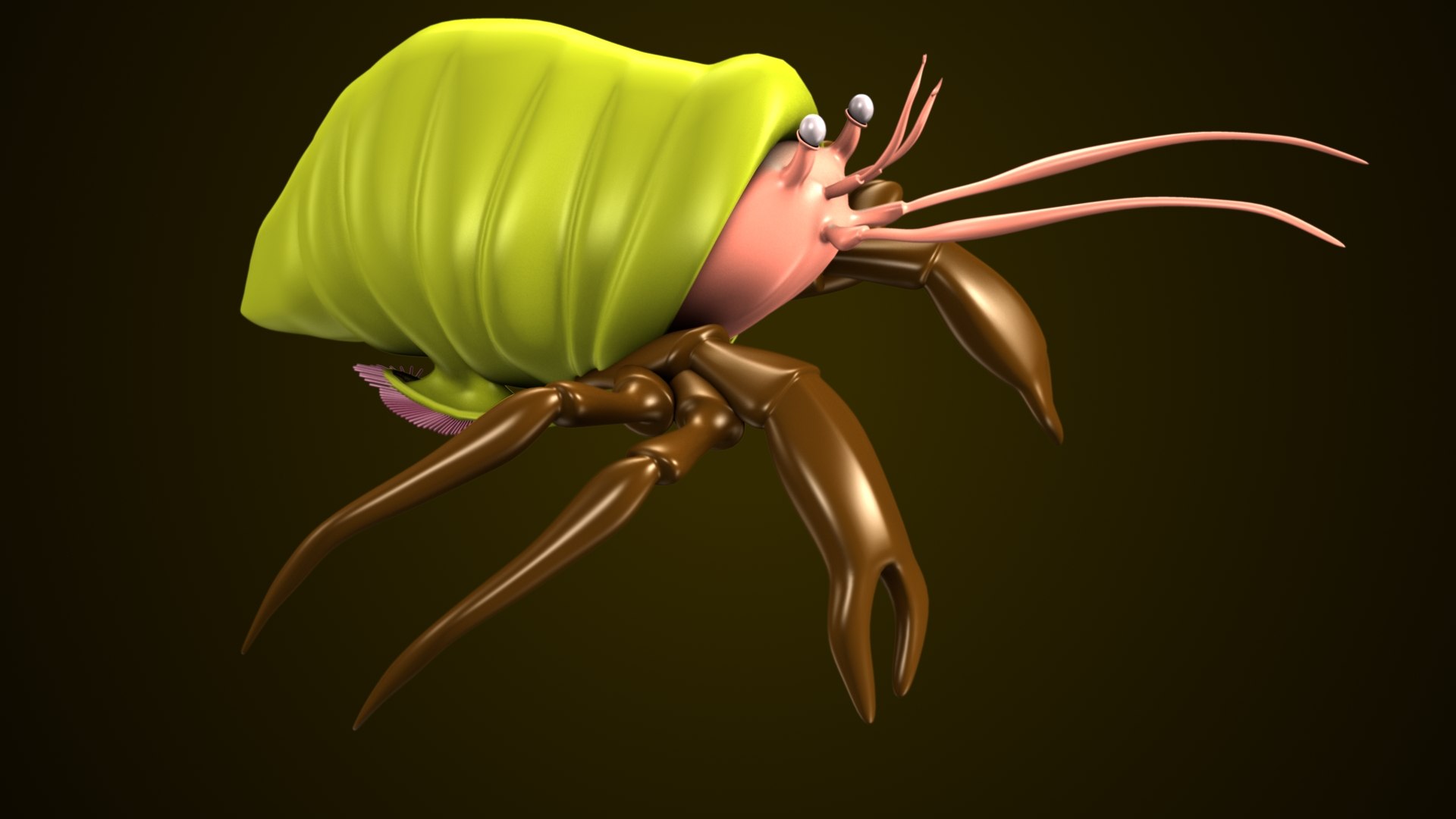 Adamsia Palliata Anatomy 3D Model - TurboSquid 1845797