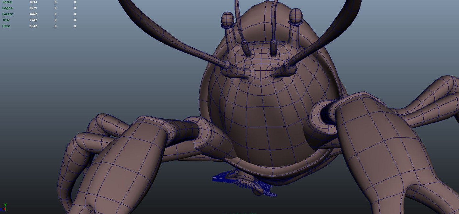 Adamsia Palliata Anatomy 3D Model - TurboSquid 1845797