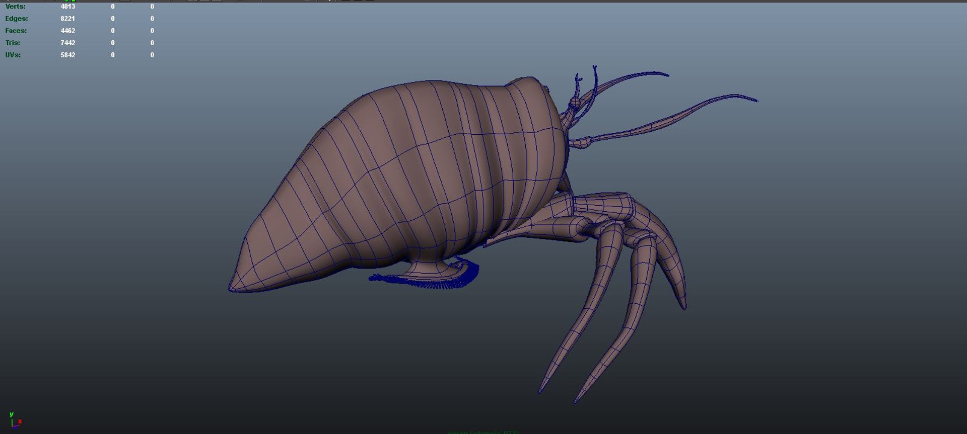 Adamsia Palliata Anatomy 3D Model - TurboSquid 1845797
