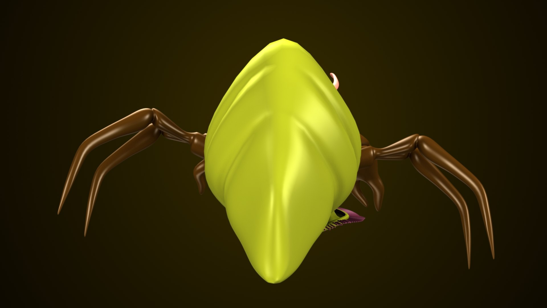 Adamsia Palliata Anatomy 3D Model - TurboSquid 1845797