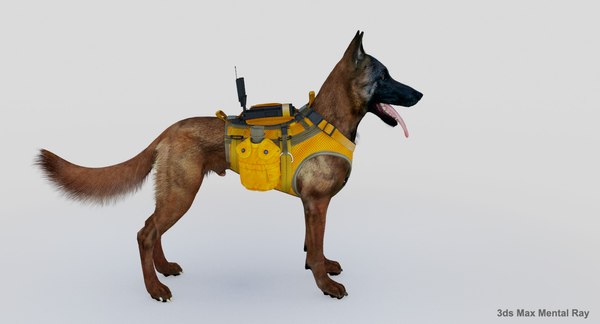military dog 5 max