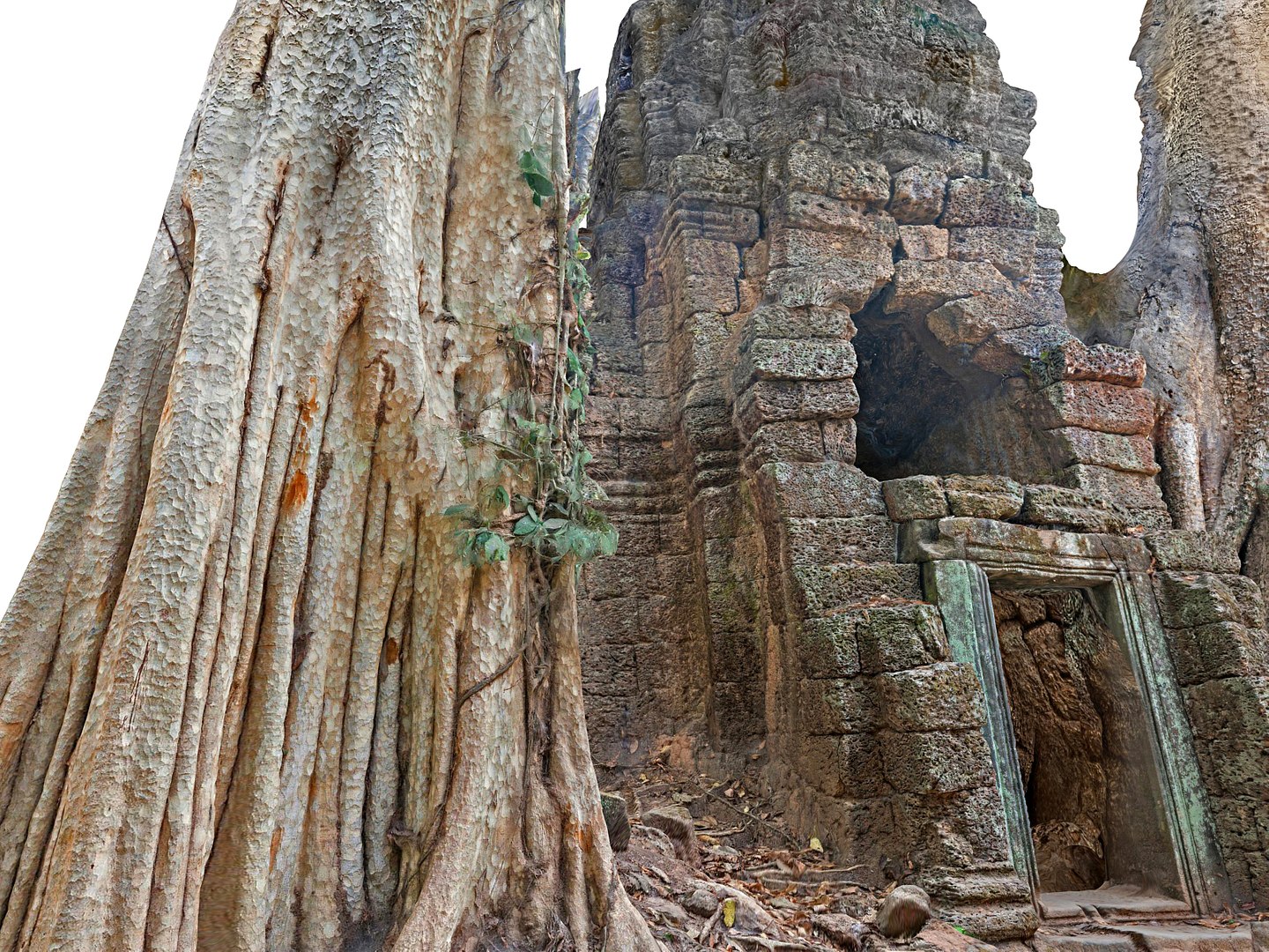 3d Ancient Tree Temple 16