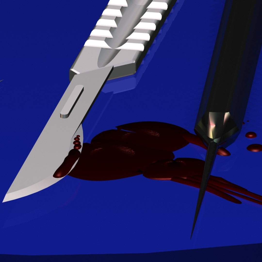scalpel blade probe 3d model