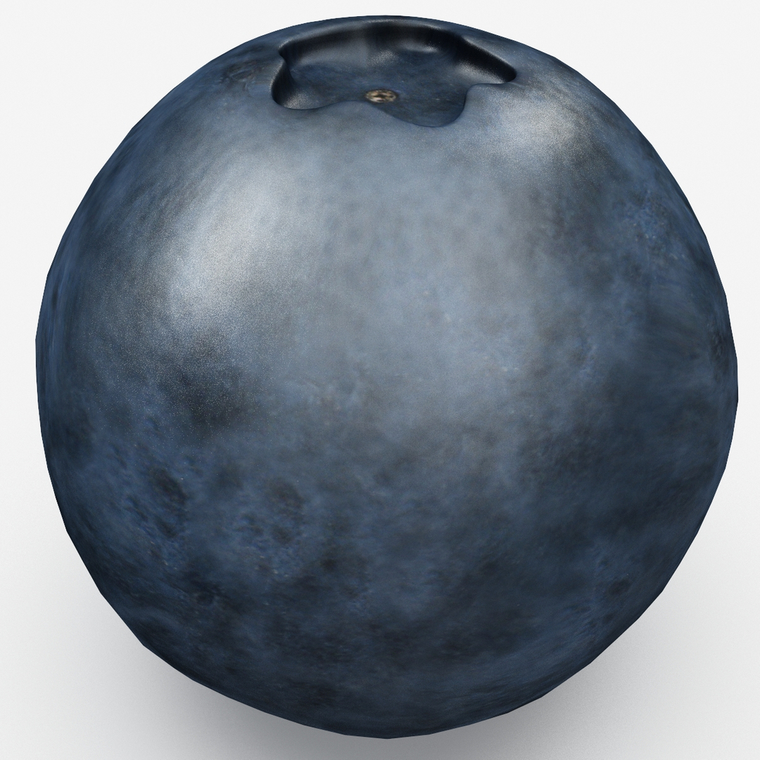 blueberry fruit 3d 3ds