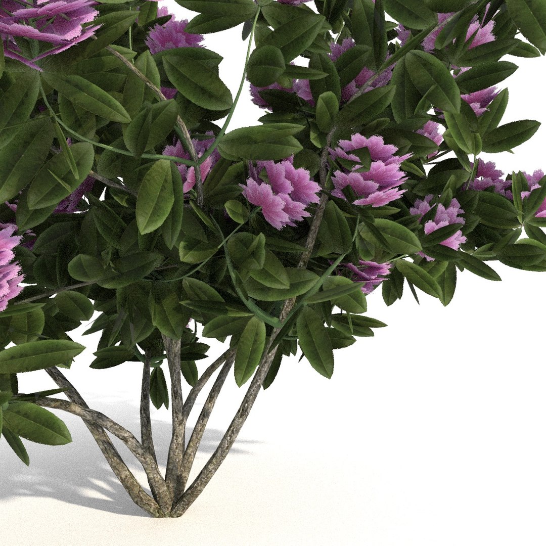 3D Tree Plants - TurboSquid 1178052