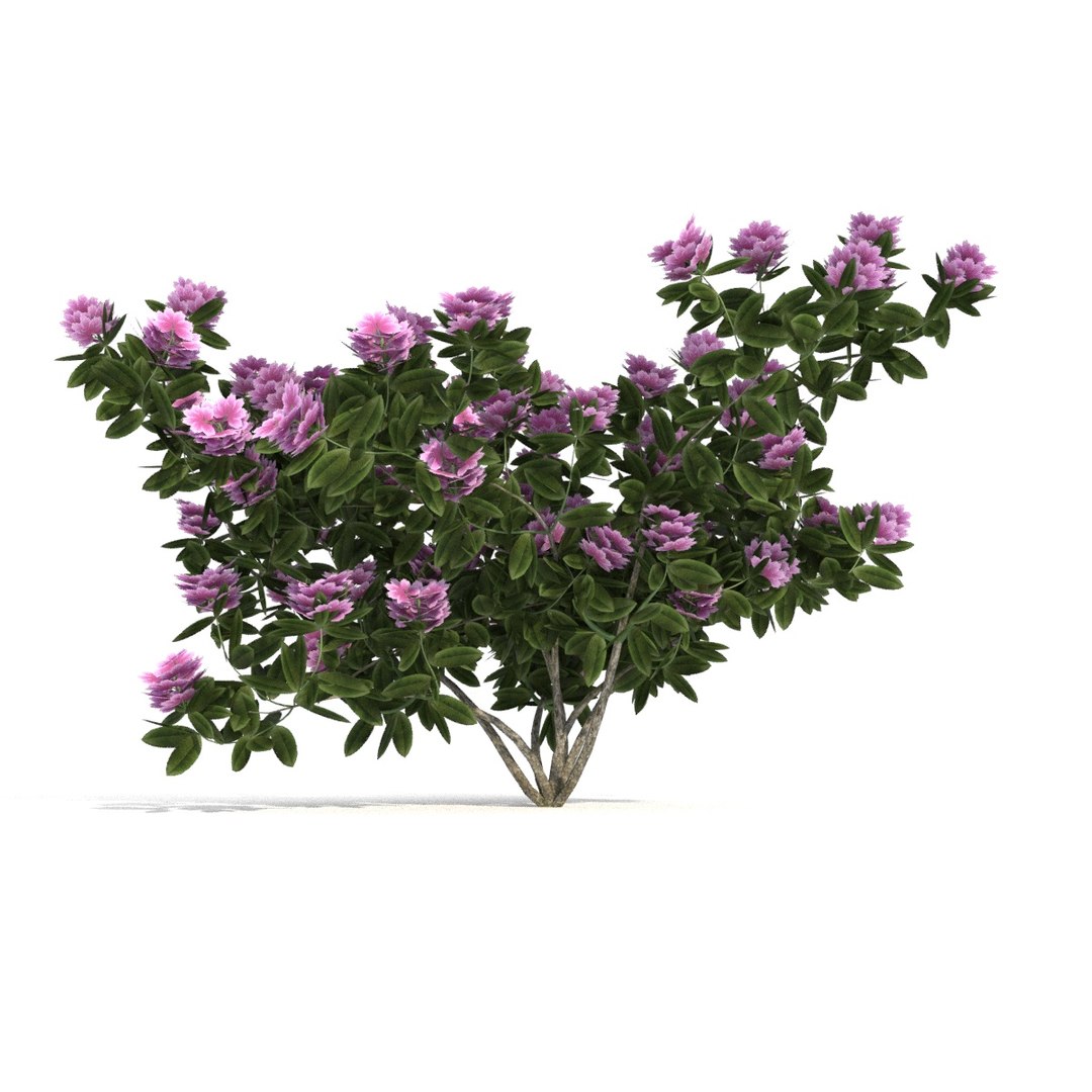 3D Tree Plants - TurboSquid 1178052