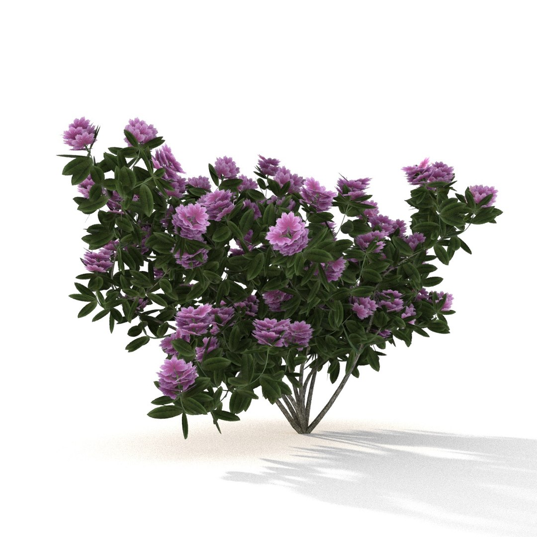 3D Tree Plants - TurboSquid 1178052