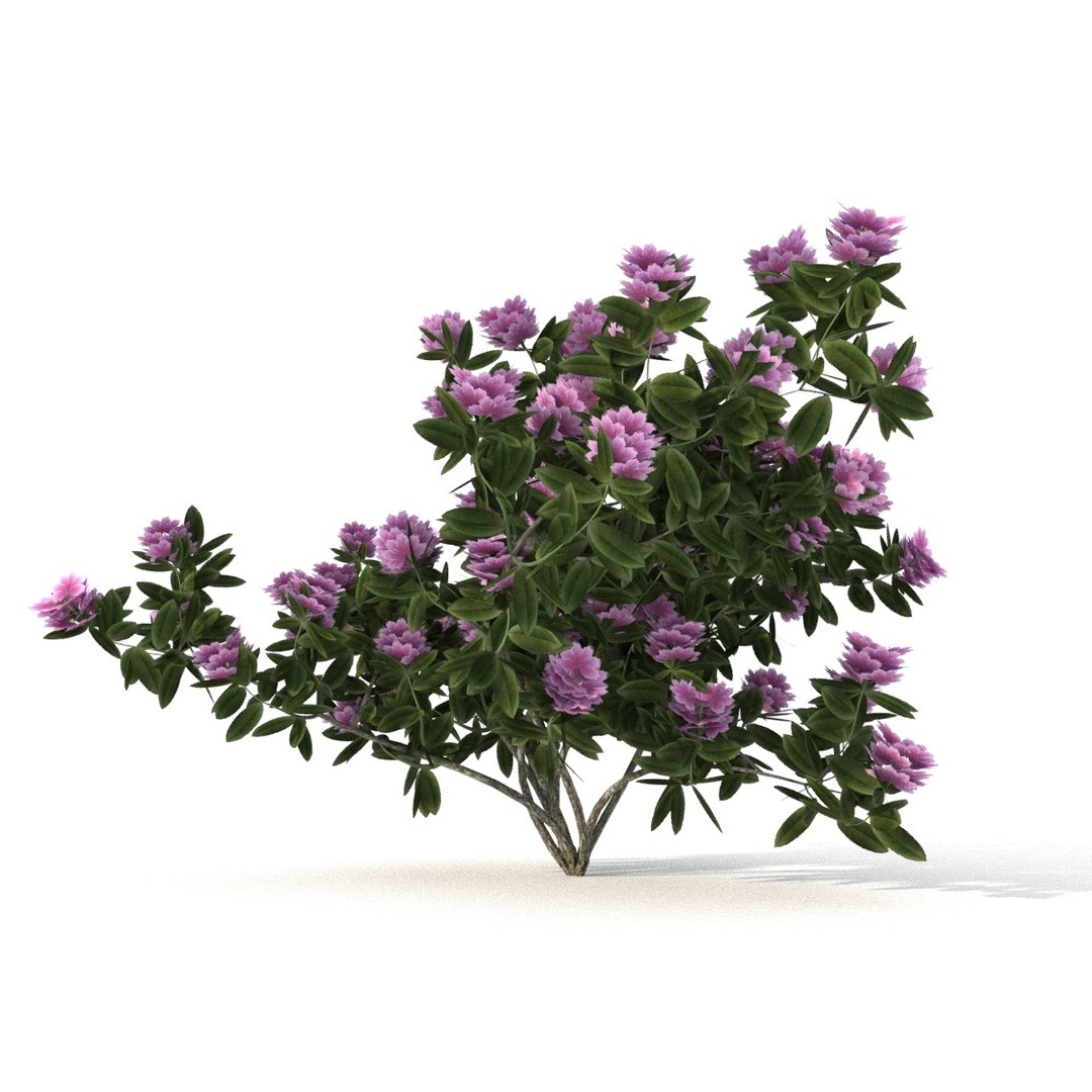 3D Tree Plants - TurboSquid 1178052