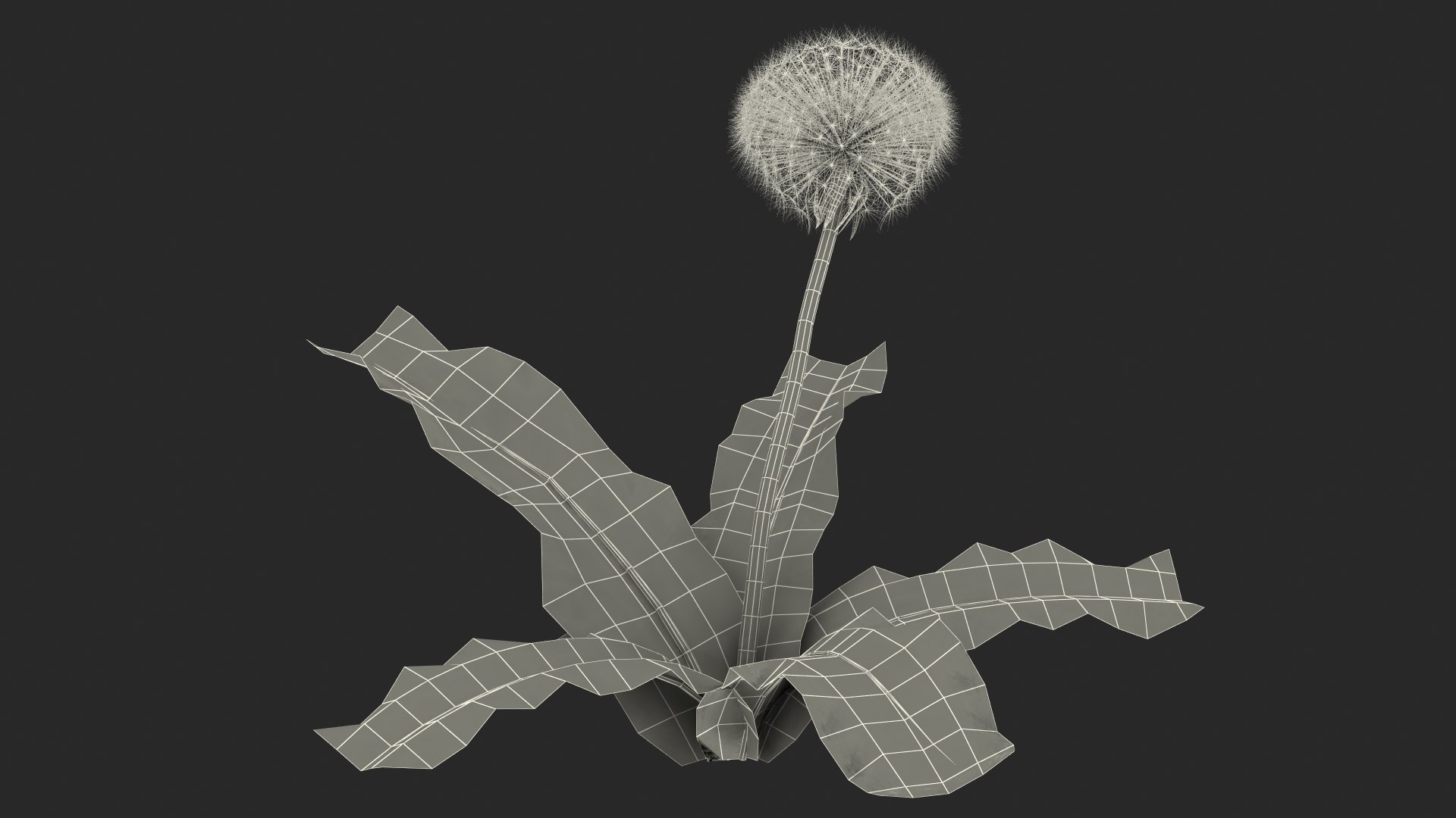 3D ripe dandelion plant - TurboSquid 1555082