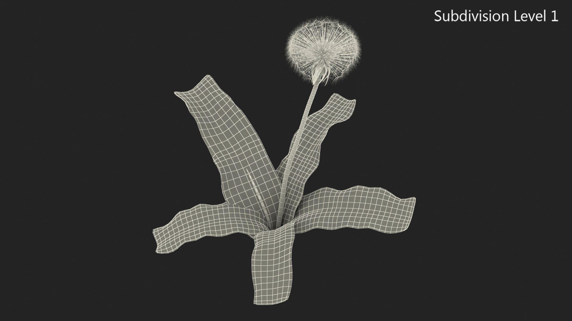 3D ripe dandelion plant - TurboSquid 1555082