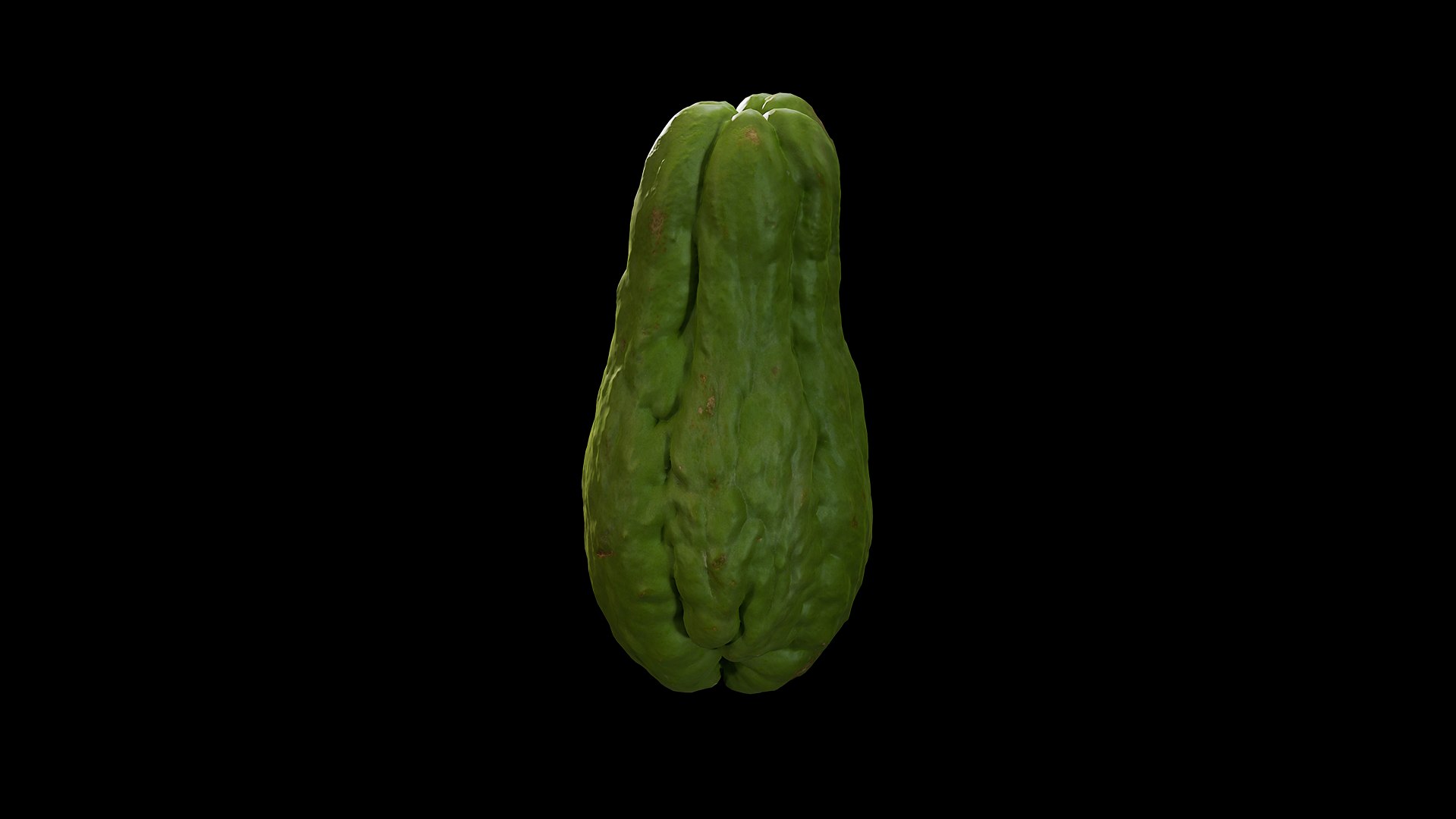Anydrafts Sechium Edule 02 3D Model - TurboSquid 2322982